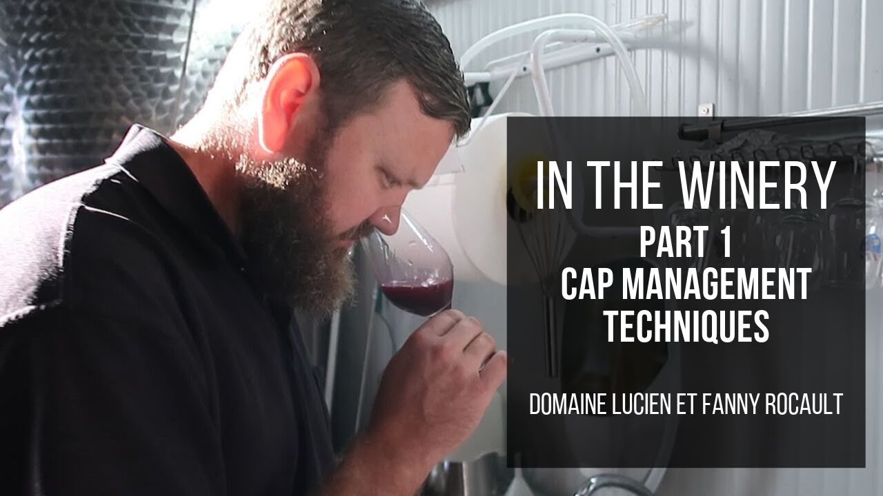In the Winery - Cap Management Techniques - YouTube
