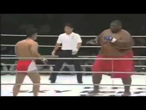 Qarışqaynan  Filin davasi mırt qaydasiz döyüş