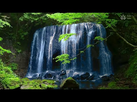 10 Hours of Beautiful Waterfall Scenery: Relax and Rejuvenate in Nature
