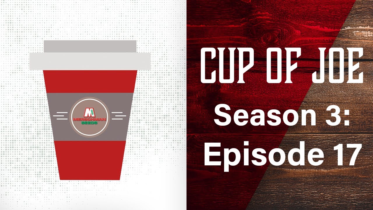 Cup of Joe: 2020 Tripidity ST Seed Treatment Trials - YouTube