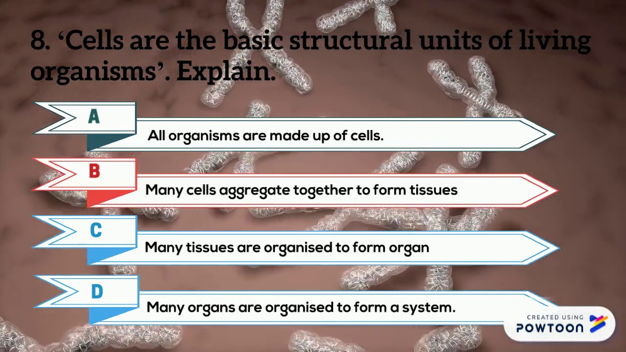8 Cells Are The Basic Structural Units Of Living Organism YouTube 8-cells-are-the-basic-structural-units-of-living-organism-youtube