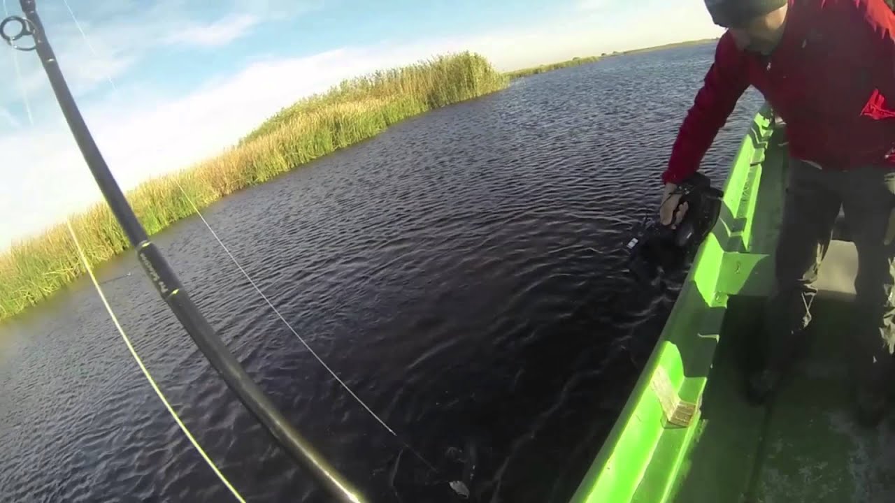 Pike fishing with Salmo lures in Danube Delta with PvTv Romania crew ...
