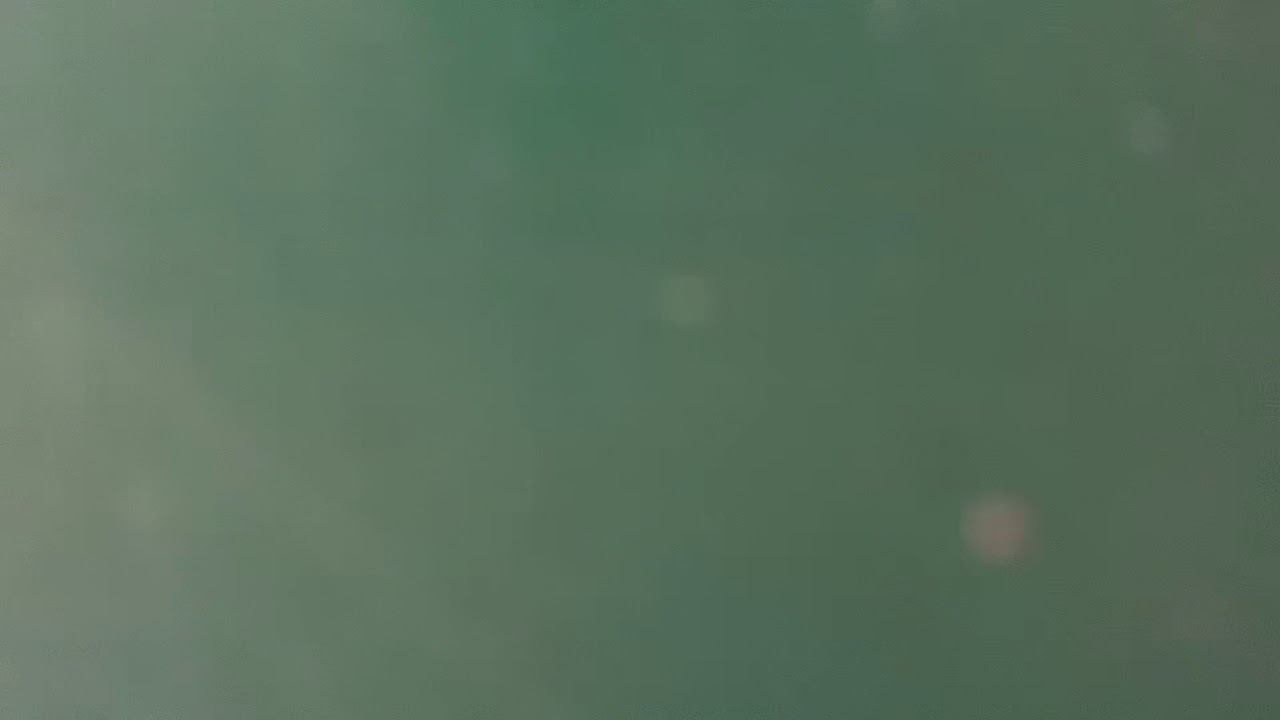 Louis Sachar ‘Someday Angeline’ 21 ‘Pretty Feet and Green Her Eyes ...