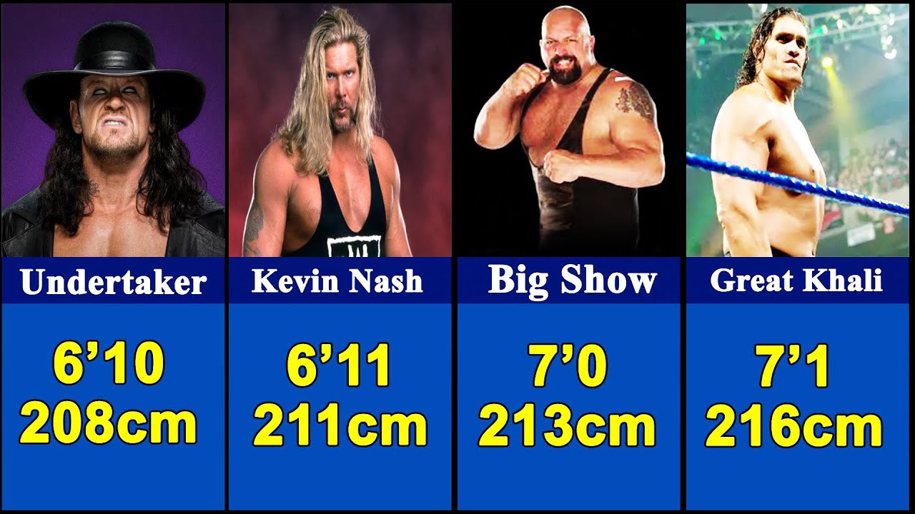 WWE Wrestlers Height Comparison | Real Heights of WWE Superstar - YouTube