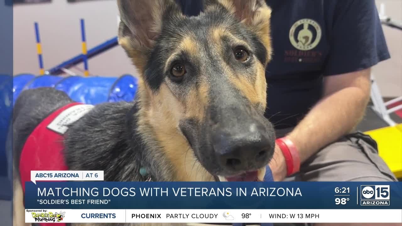 'Soldier's Best Friend': Matching dogs with veterans in Arizona - YouTube