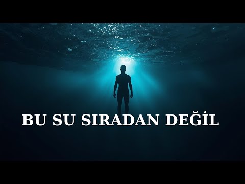 Denize Bir Daha Bak | Kimsenin Anlatmadığı Gerçek