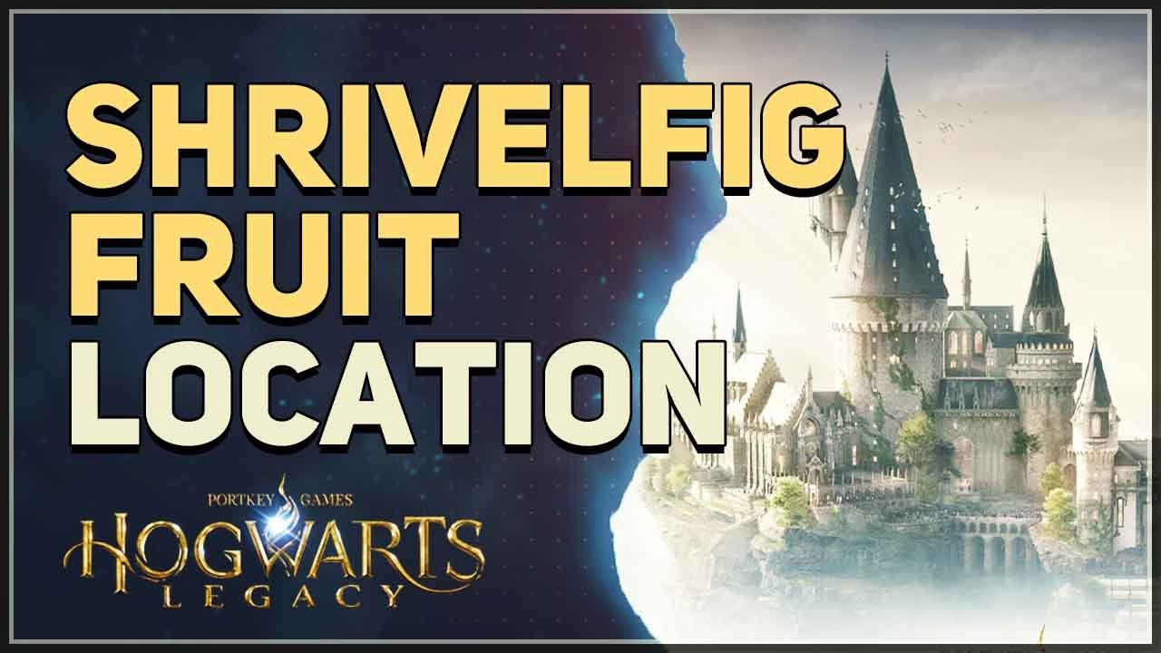 Shrivelfig Fruit Location Hogwarts Legacy - YouTube