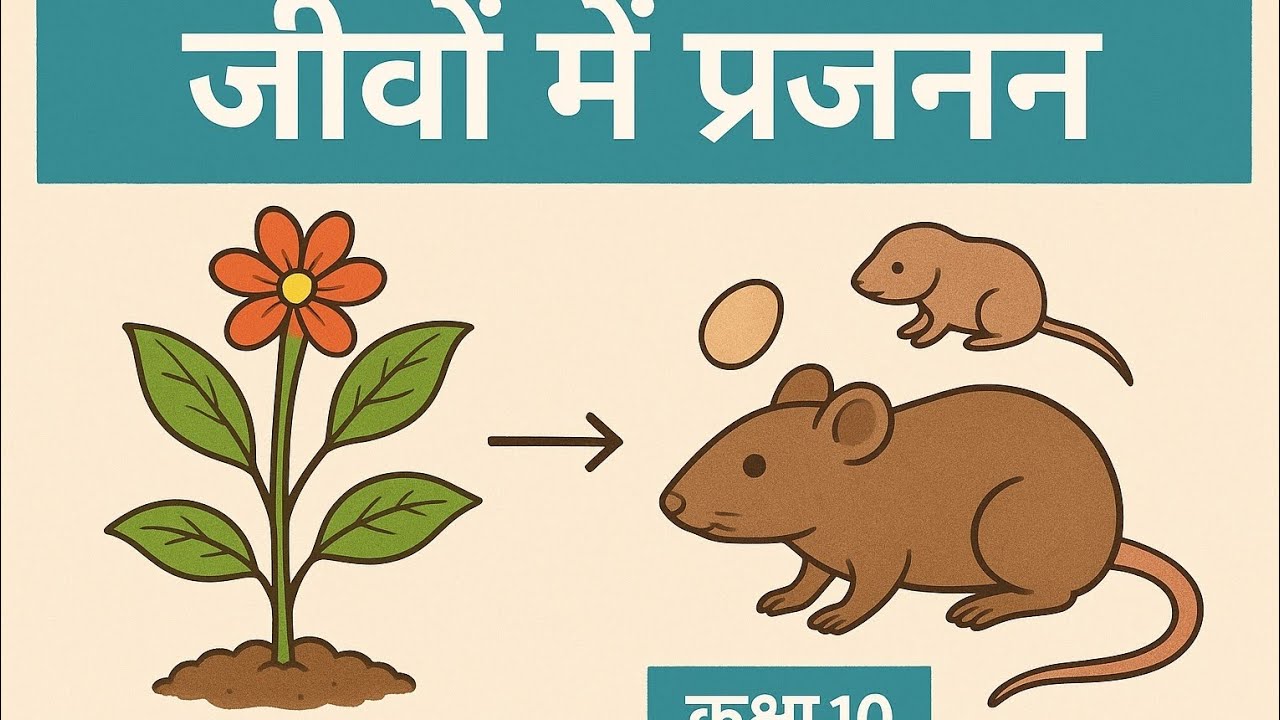 HOW TO ORGANISMS REPRODUCE - YouTube