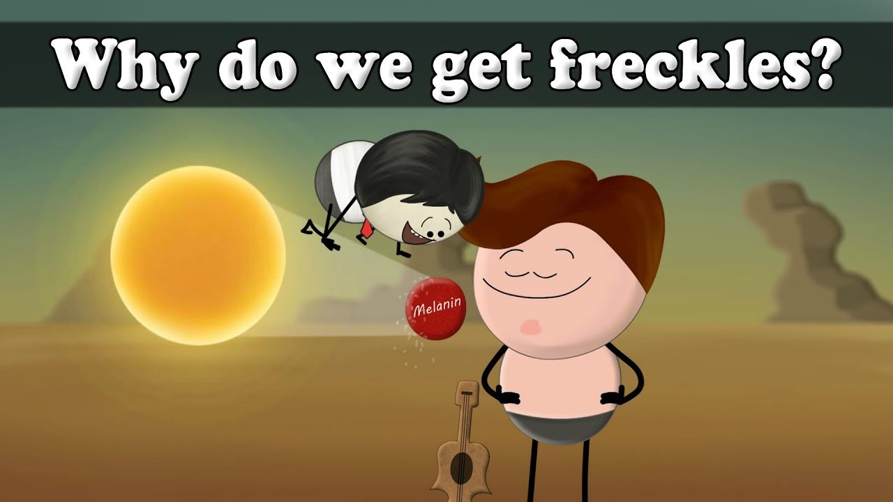 Why do we get freckles? | #aumsum #kids #science #education #children ...