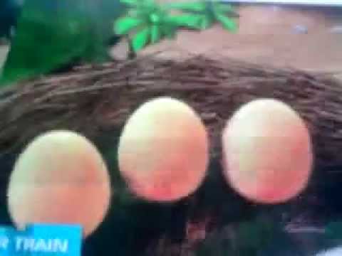 DİNOSAUR TRAİN SONG - YouTube