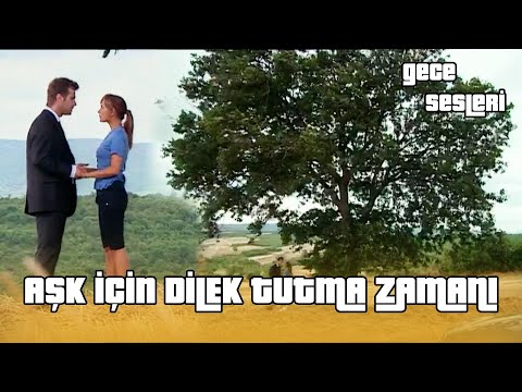 Seyhan ve Aslı'nın dilek ağacında sıcak yakınlaşması | Gece Sesleri 8. Bölüm