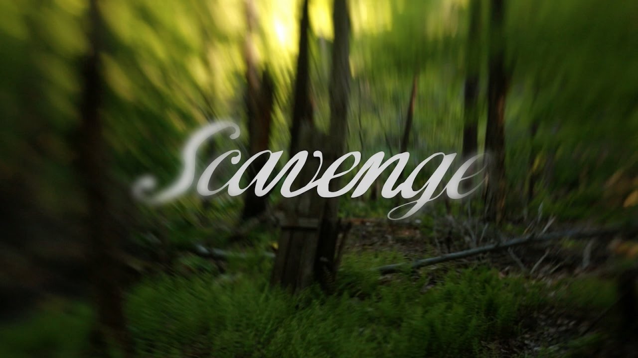 Scavenging the Forest with Gabrielle Hamilton - YouTube