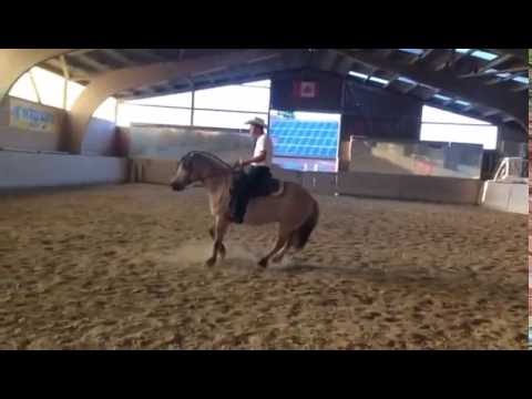 Speedy E aus S beim Stopptraining