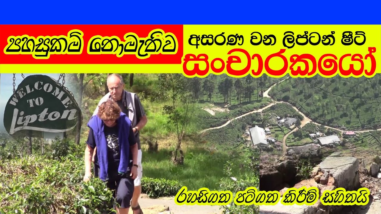 Lipton Sheets Confidential Recording-පහසුකම් නොමැතිව අසරණ වන ලිප්ටන් ...