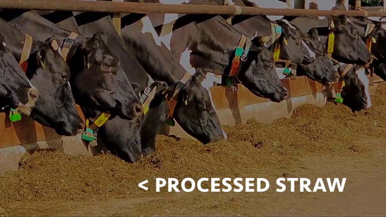 Straw Popper | In Tech Edge - YouTube