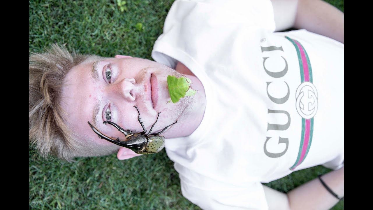 Gucci x Insecthaus Project #GucciFW17 - YouTube