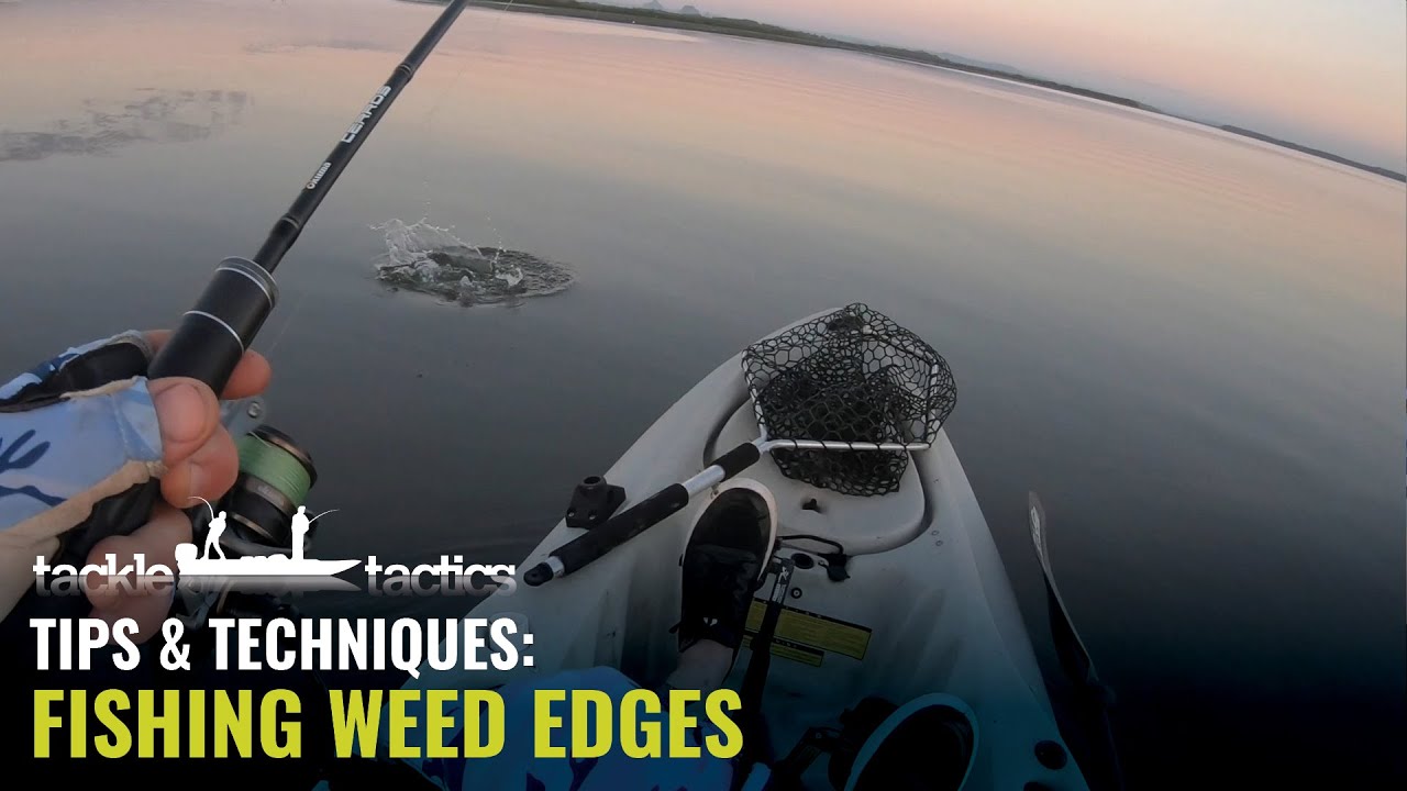 Edge Bite Fishing with Sean Bekkers - YouTube