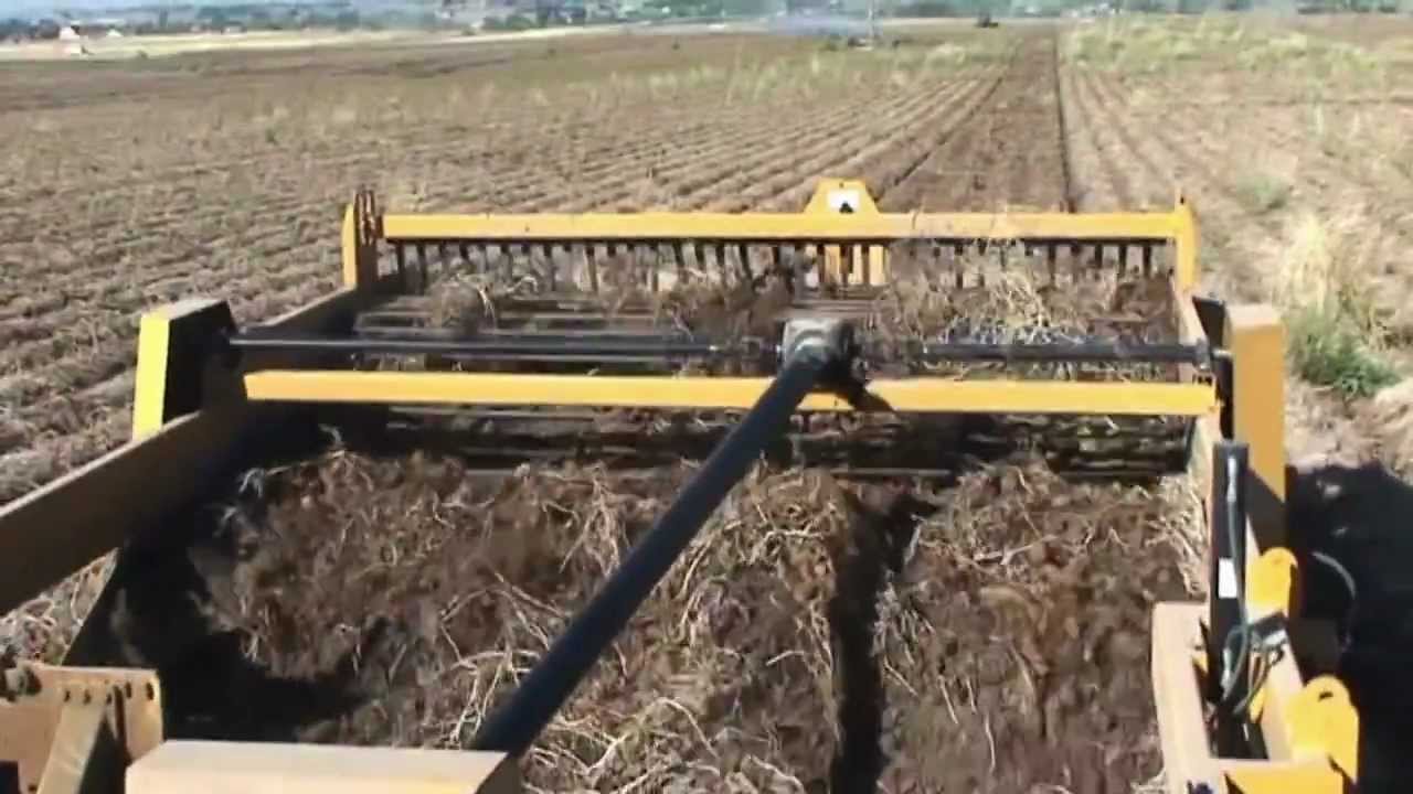 Double L 4-Row 951 Potato Windrower - YouTube