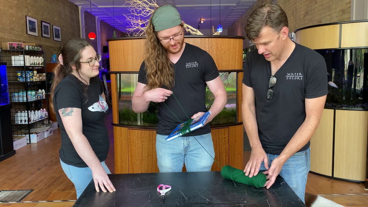 How to Make Spawning Mops to Breed Egg Scattering Fish - YouTube