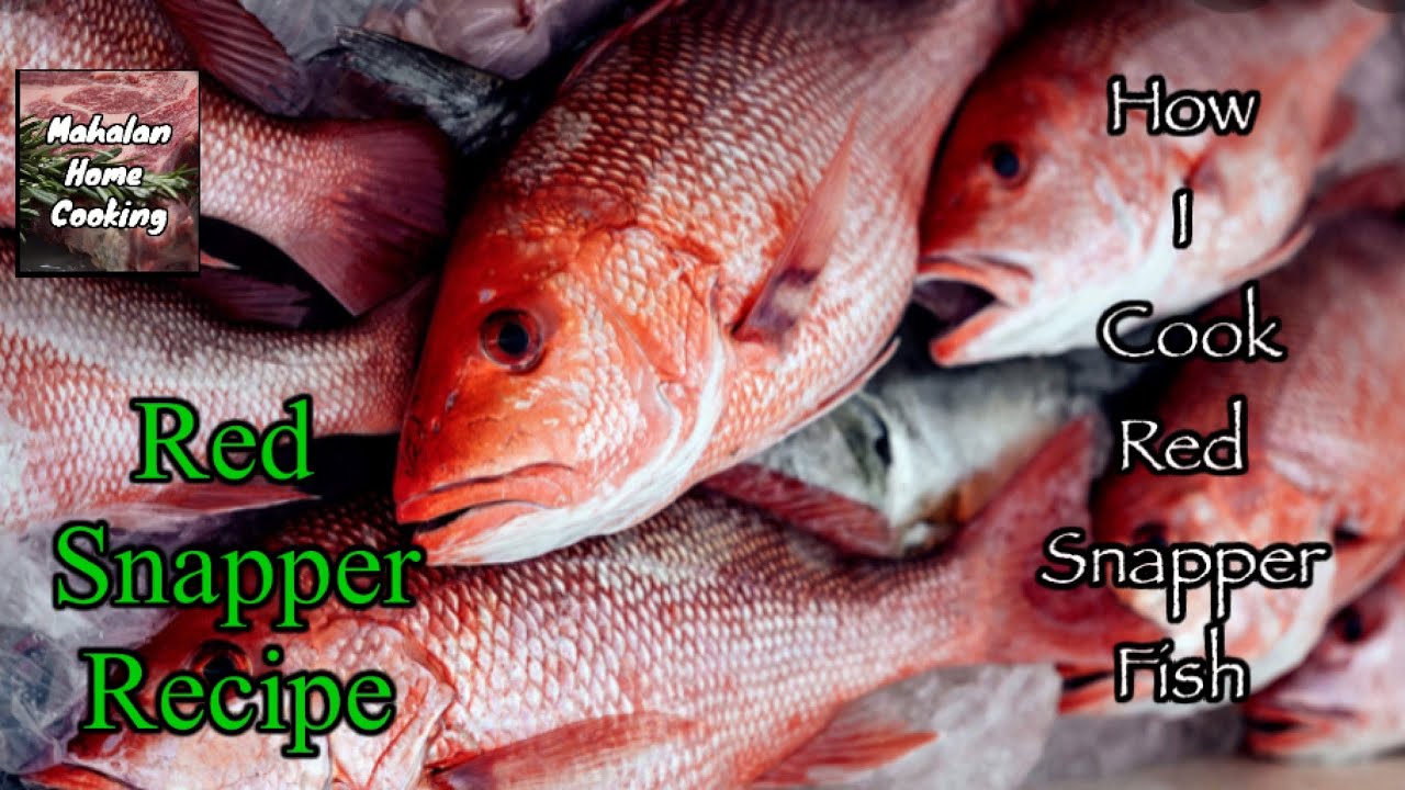 How to Cook Red Snapper fish #homecookingtv - YouTube