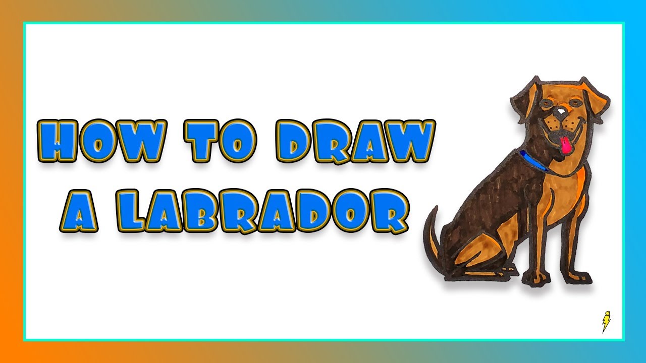 How to Draw a Labrador | Chocolate | Easy - YouTube