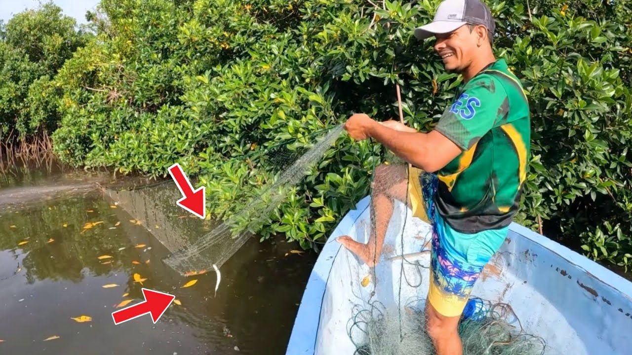 pesca con trasmallo - YouTube