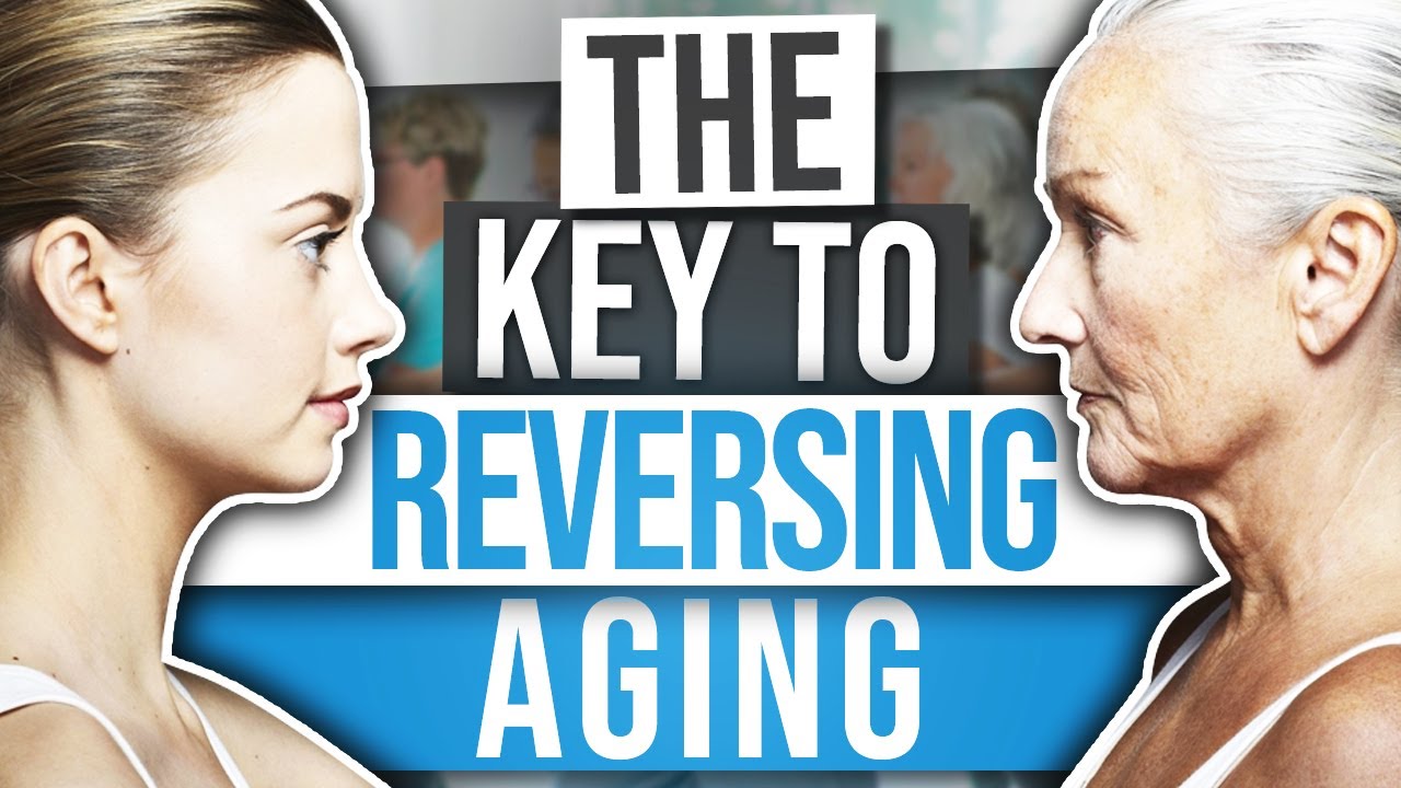 Key to Reversing Aging - YouTube