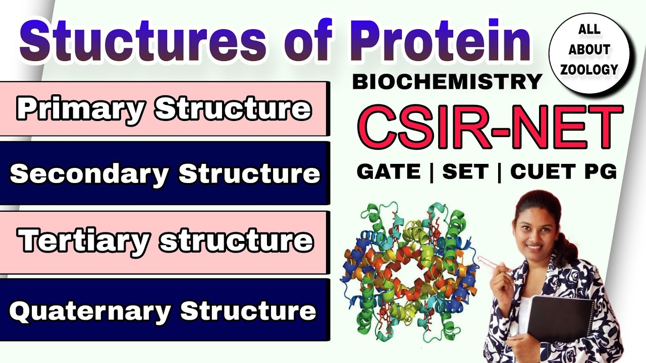 STRUCTURES OF PROTEIN || BIOCHEMISTRY || CSIR-NET LIFE SCIENCES - YouTube