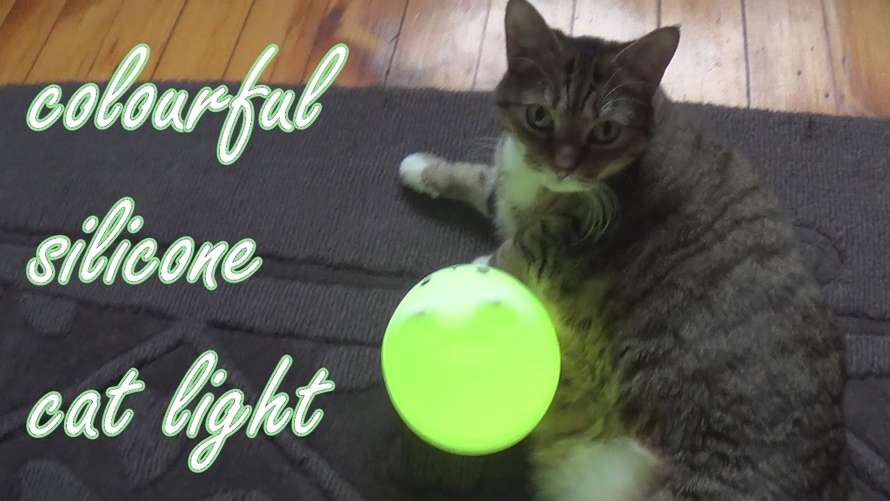 Cat Reviews Colourful Silicone Cat Light | Vlogmas #11 - YouTube