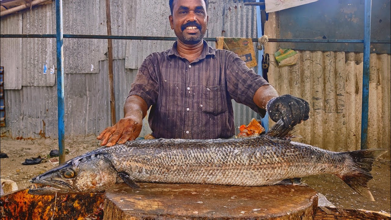 SHEELA FISH/உலி மீன்/FISH CUTTING IN KASIMADU/INDIAN FISH MARKET ...