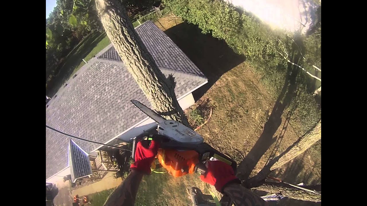Roping off a limb that's hanging over house (easy breezy) (2013) - YouTube