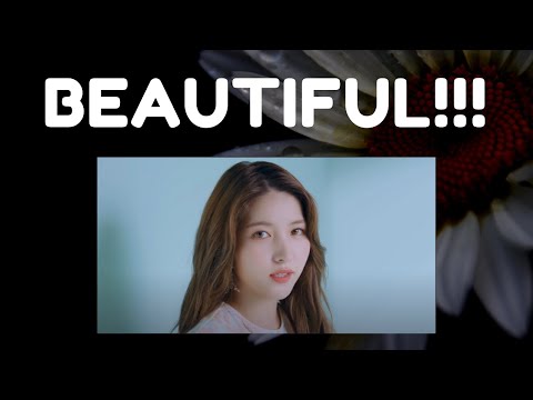 KTwinz React - GFriend - Fallin' Light M/V