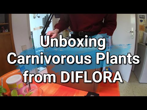 Unboxing plants from Diflora / Pflanzen von Diflora aus Italien 🇮🇹