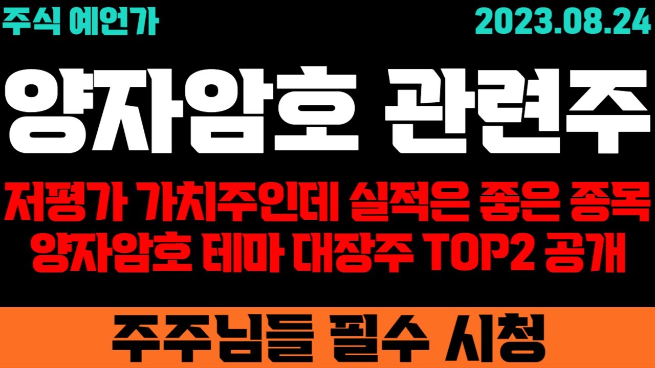 양자암호 관련주 저평가 가치주인데 실적은 좋은 종목 양자암호 테마 대장주 Top2 공개 양자암호 양자암호관련주 양자