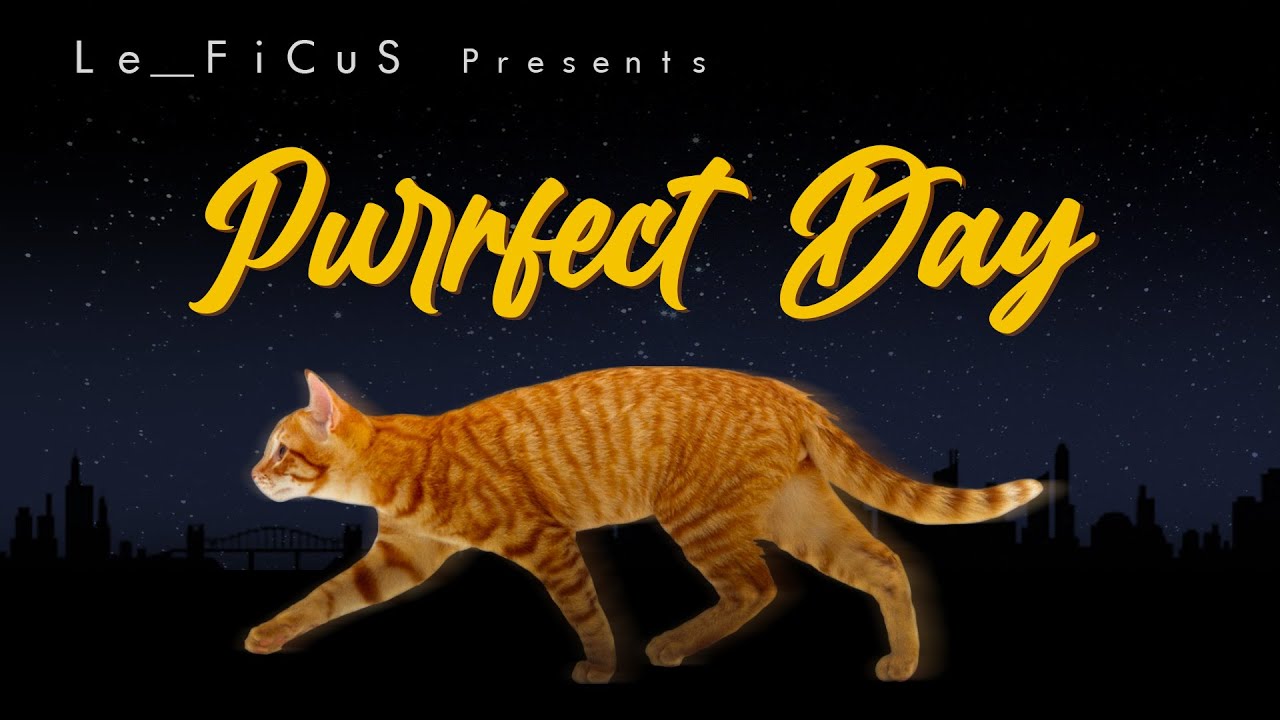 Purrfect Day - ( a Mashup with Cats ) - YouTube