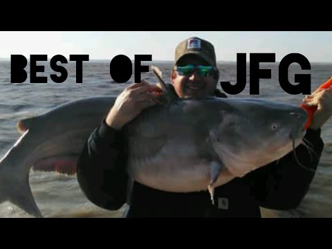 Best of Jason's Fish Guides 2019!!!! - YouTube