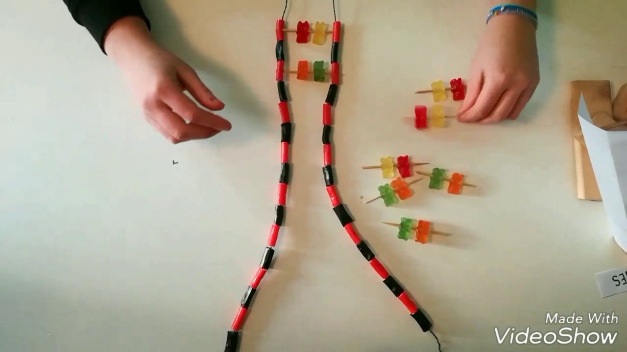 modellino DNA - YouTube