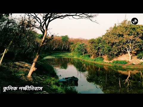 🔴 কুলিক পক্ষীনিবাস || Raiganj || Kulik Wildlife Sanctuary, Kulik Bird ...