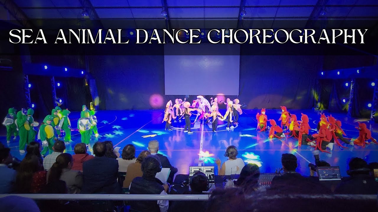 🦀🐢🐙 kids Animal Dance Choreography! Crabs, Turtles & Octopuses | Must ...