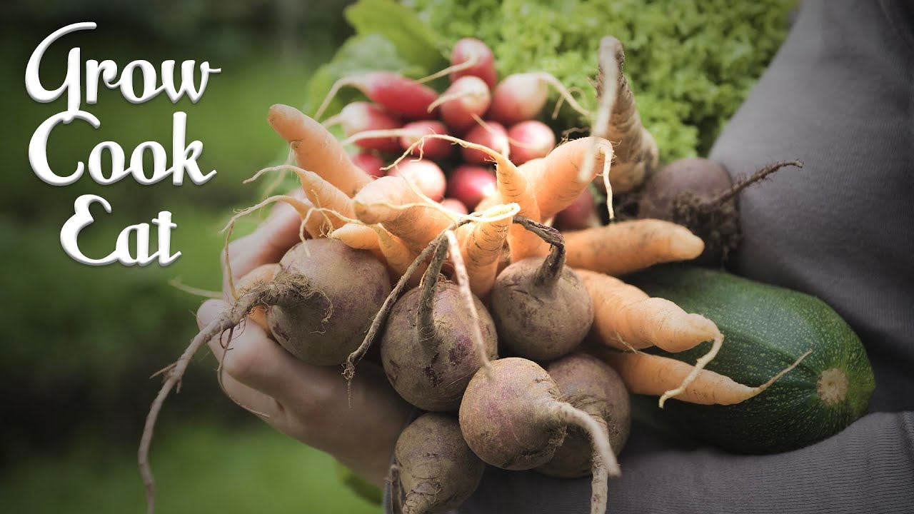 Grow Cook Eat - YouTube