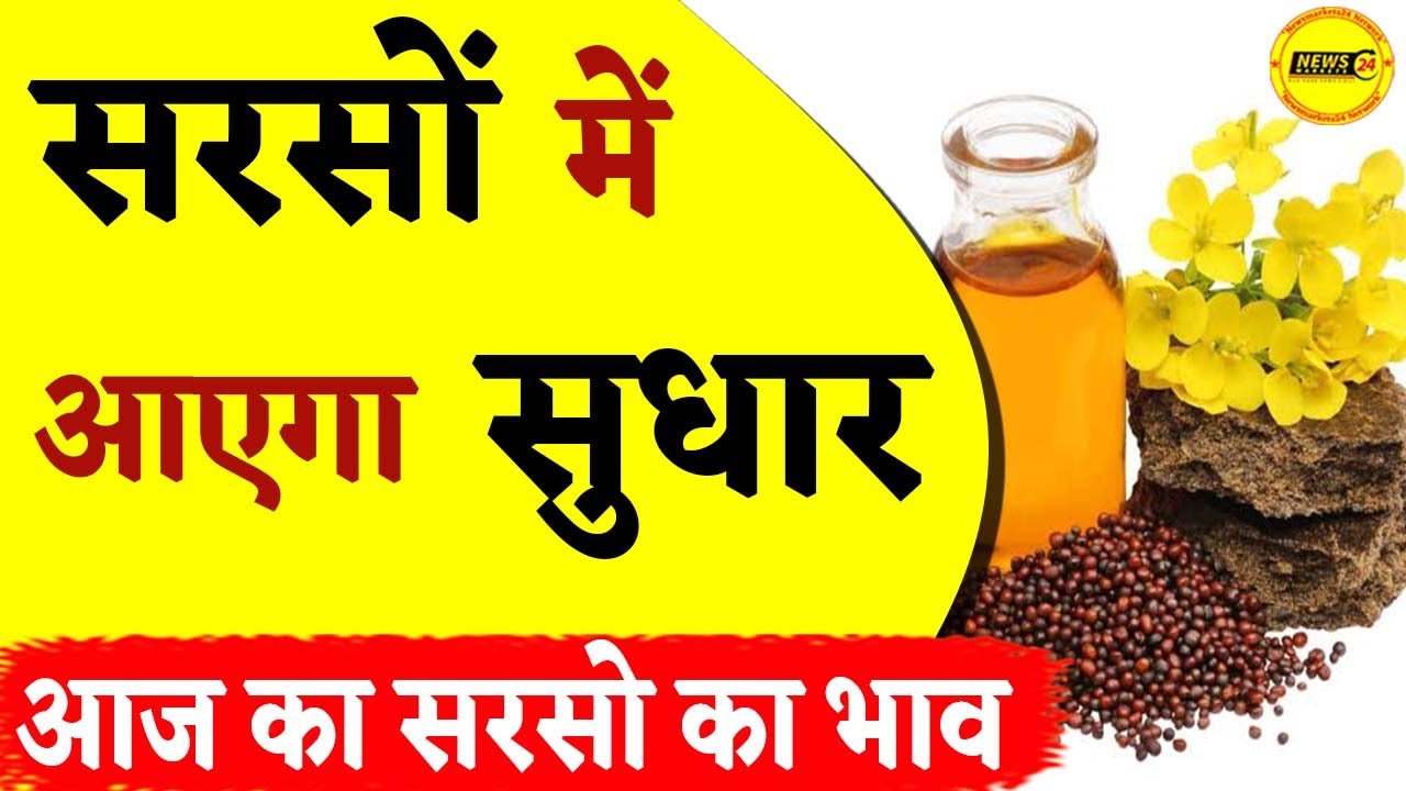 आज का सरसो का रेट || सरसो में आएगा सुधार || Sarso Ki Report ...