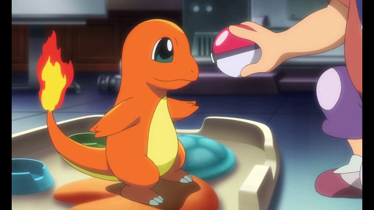 #004 CHARMANDER ALL SCENE IN ANIME - YouTube