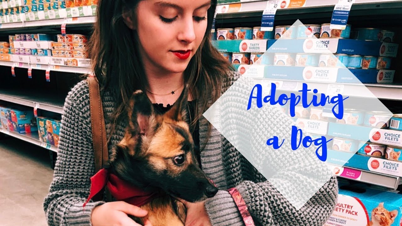 Getting my first dog! | Adopting a dog from a Pet smart event - YouTube