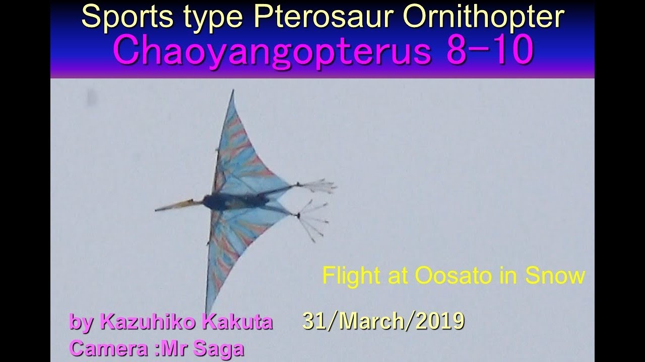 Chaoyangopterus8-10- Sports type Pteartosaur Ornithopter : Powerful ...