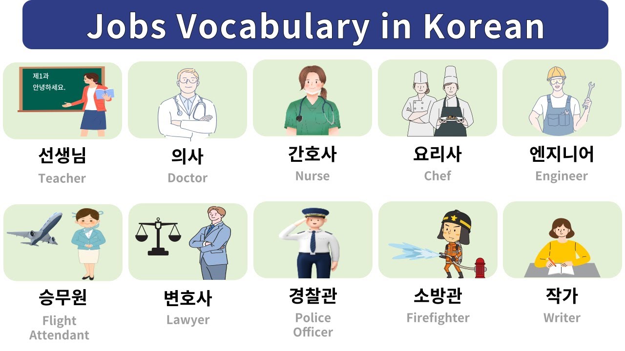 Jobs Vocabulary in Korean 직업 - YouTube