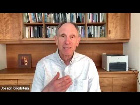 Reflections on Non-Self - Talk with Joseph Goldstein - YouTube