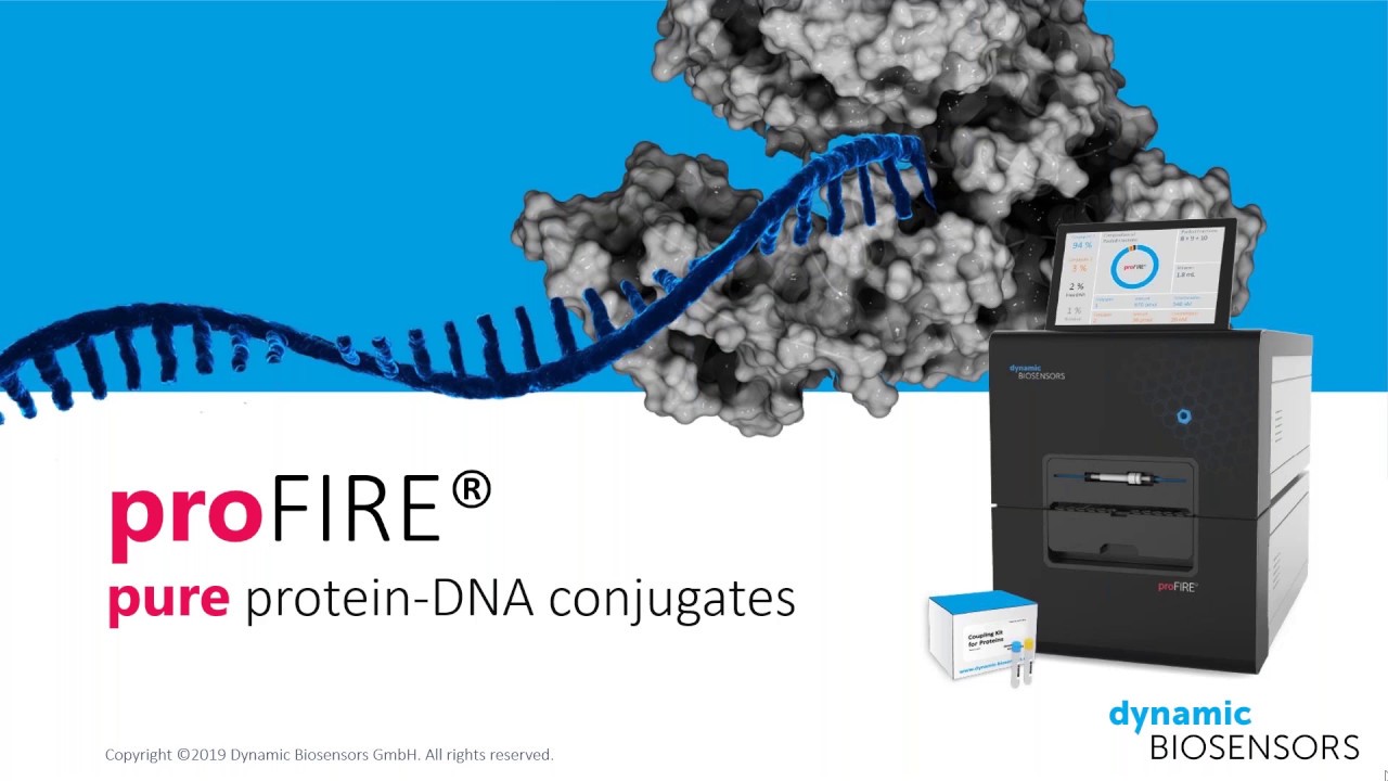 proFIRE® - Introducing pure protein-DNA conjugates - YouTube