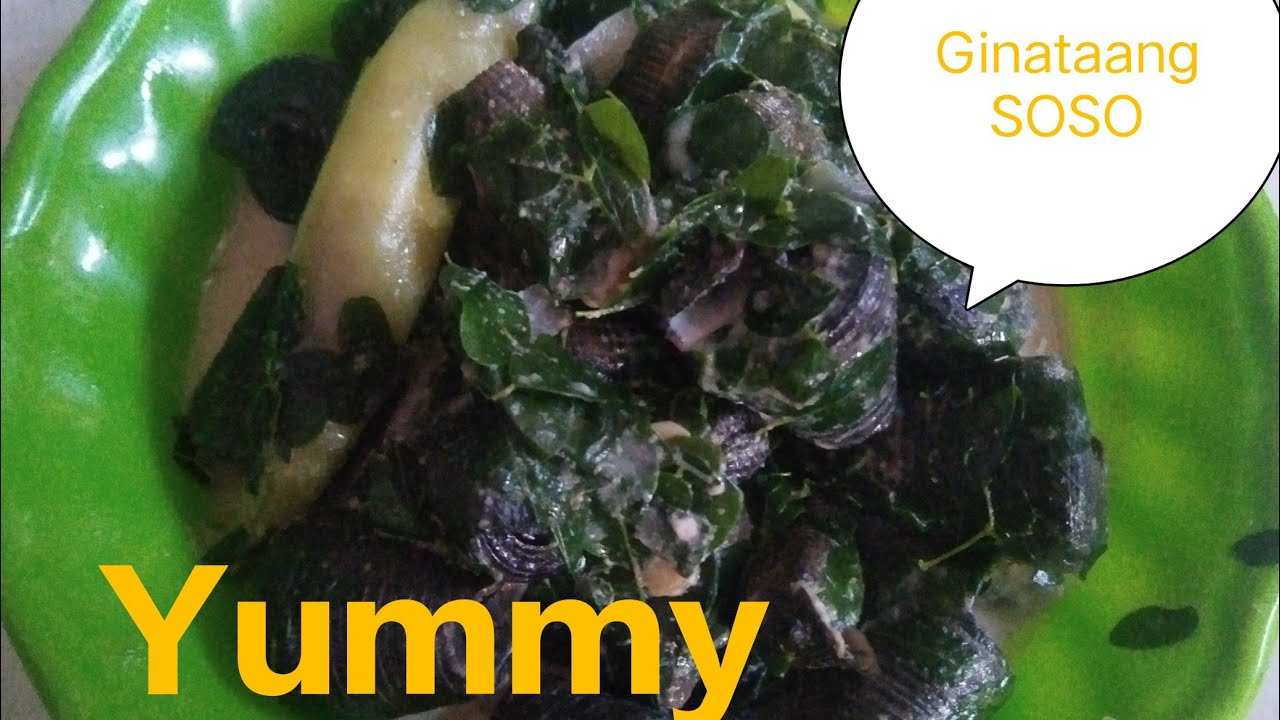 Ep30 Sea snail with coconut milk, Ginataang Susu/sea snail, #Life of ...