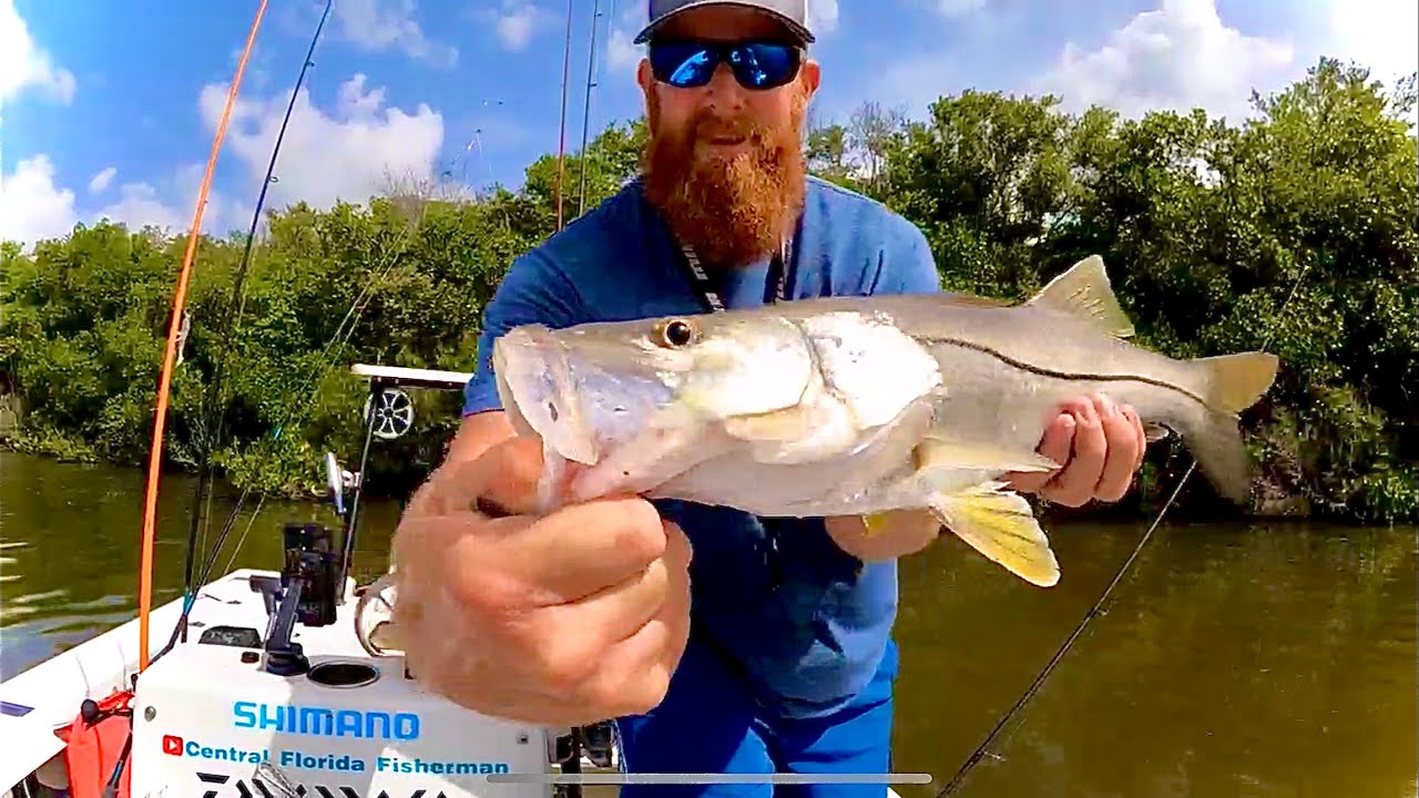 INSHORE SNOOK AND SNAPPER FISHING - YouTube