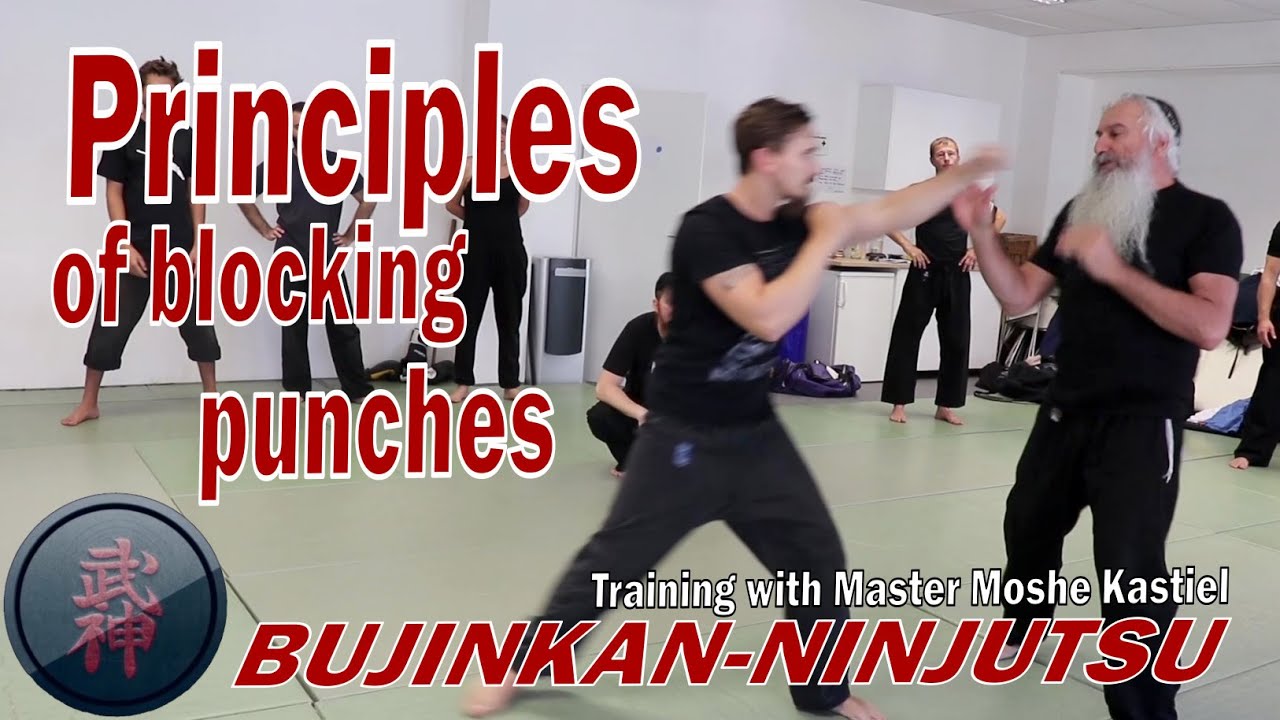 Bujinkan-Ninjutsu: Basic Thoughts about blocking punches - YouTube